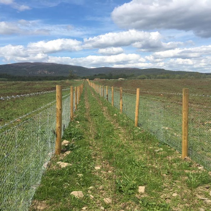 Fencing Contractor Agricultural, Equine & Environmental - Christie Fencing